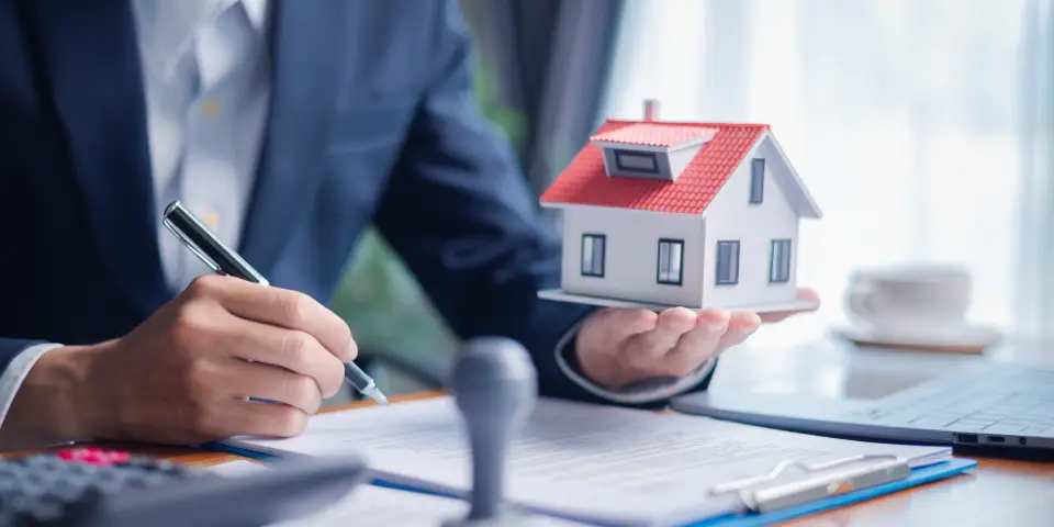 What Are Termite Bonds? - Campbell Law, P.C
